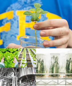 Visual Elements | FFA Brand Guidelines