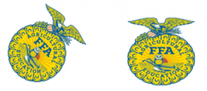 Identity | FFA Brand Guidelines