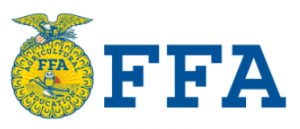 Identity | FFA Brand Guidelines