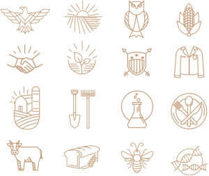 Visual Elements | FFA Brand Guidelines